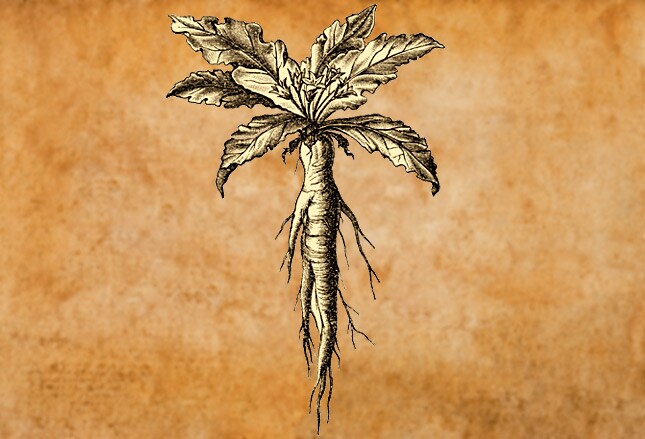 Opium to the OR: A Visual History of Anesthesia