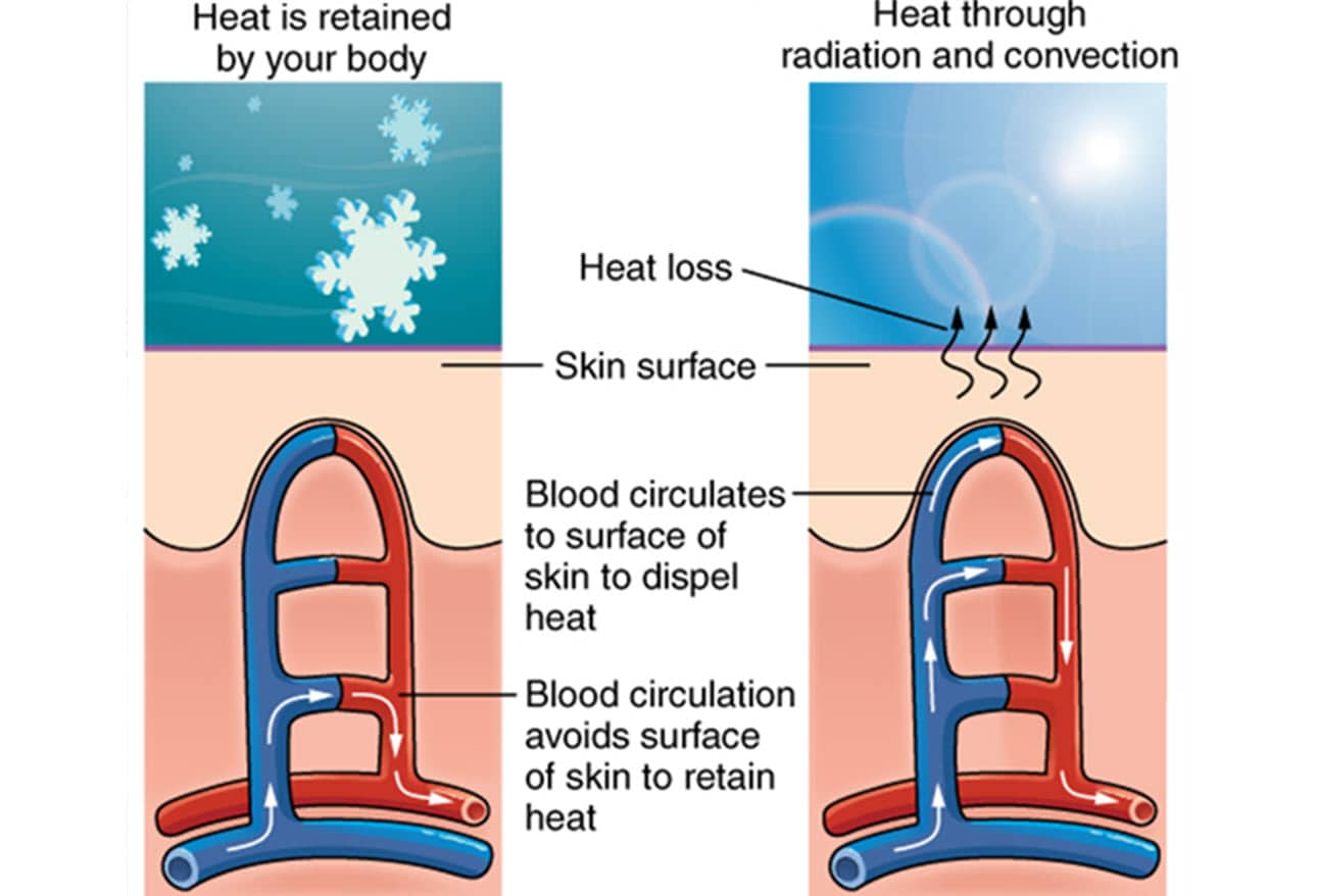 When Jack Frost Bites: Hypothermia and Localized Cold Injury