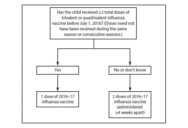 Seasonal Influenza: Current Updates and Critical Recommendations