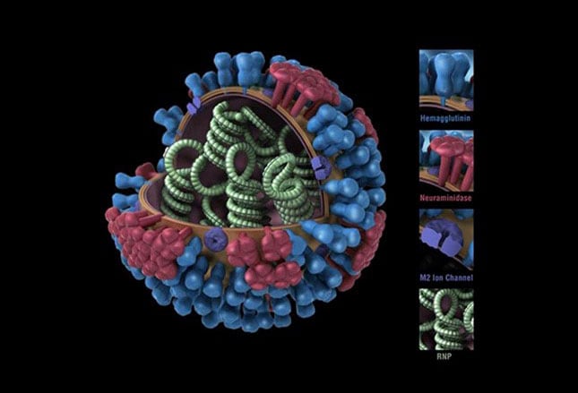 Seasonal Influenza: Current Updates and Critical Recommendations