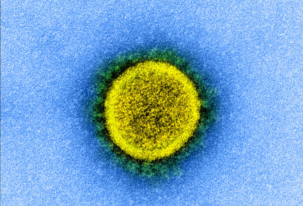 Measles: More Than Just a Rash