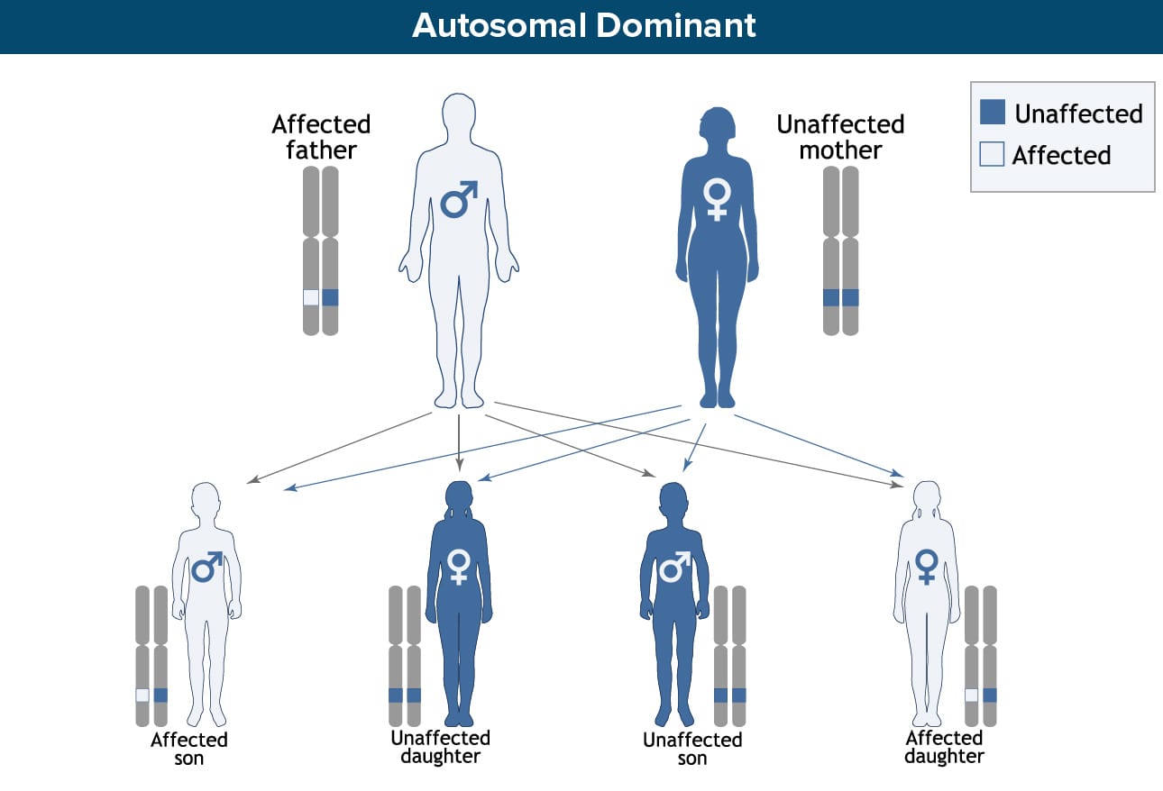Nonhemophilia Bleeding Disorders: The Coagulation Factor Factor