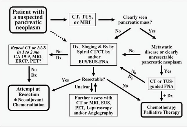 Pancreatic Cancer: Difficult Diagnosis, Ominous Outlook