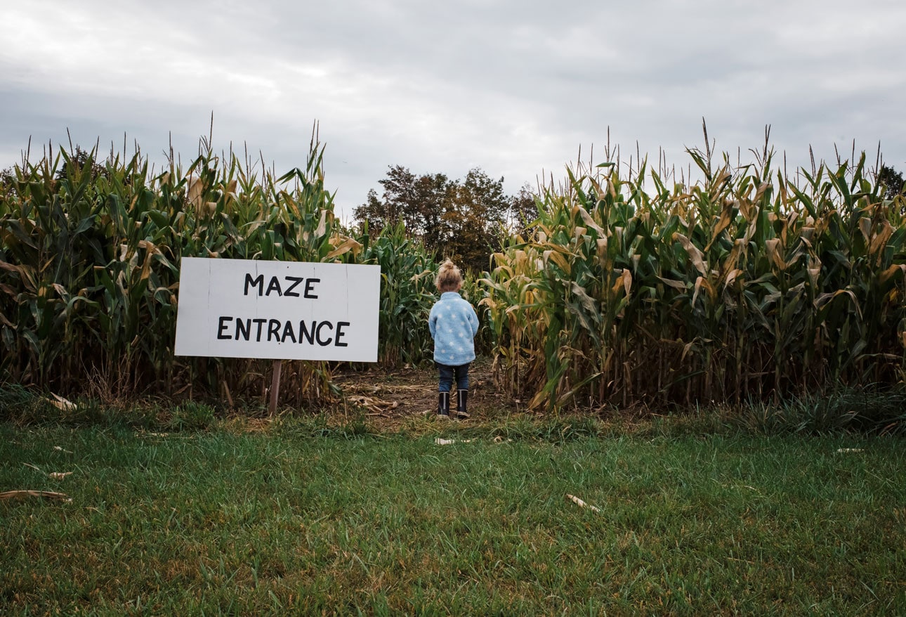 5 Pandemic-Friendly Fall Activities