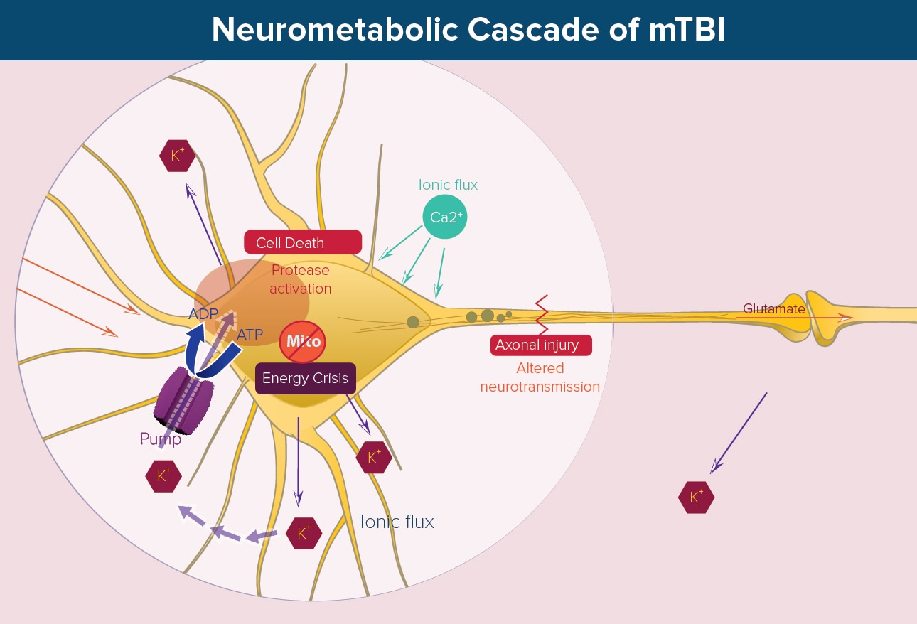 Pediatric Concussion and Other Traumatic Brain Injuries