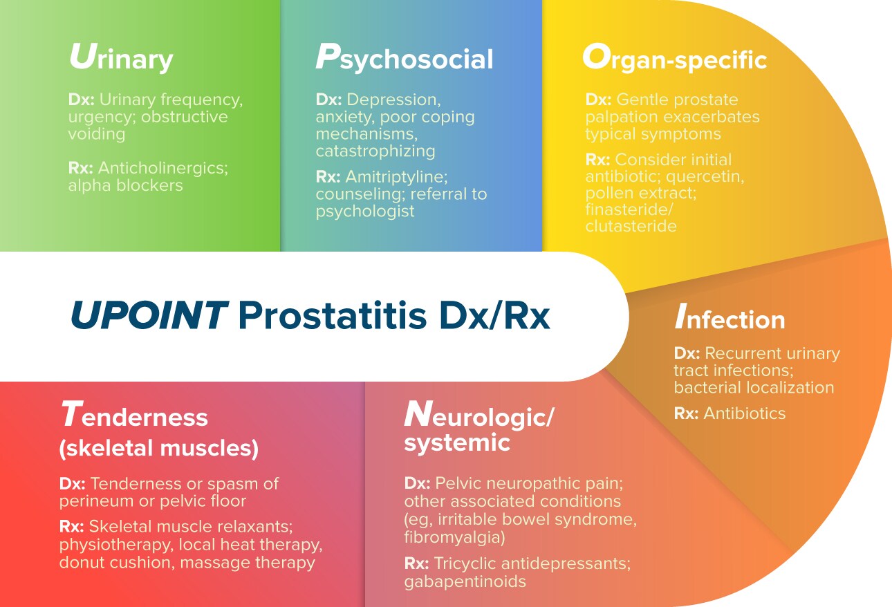 Prostatitis: An Inflammatory Story