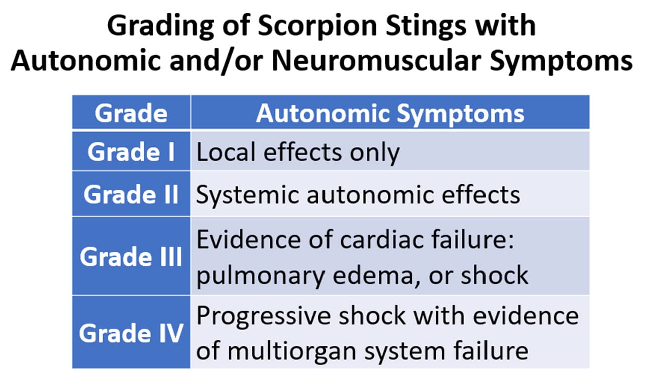 Scorpion Stings: From Mild Local Effects to Death