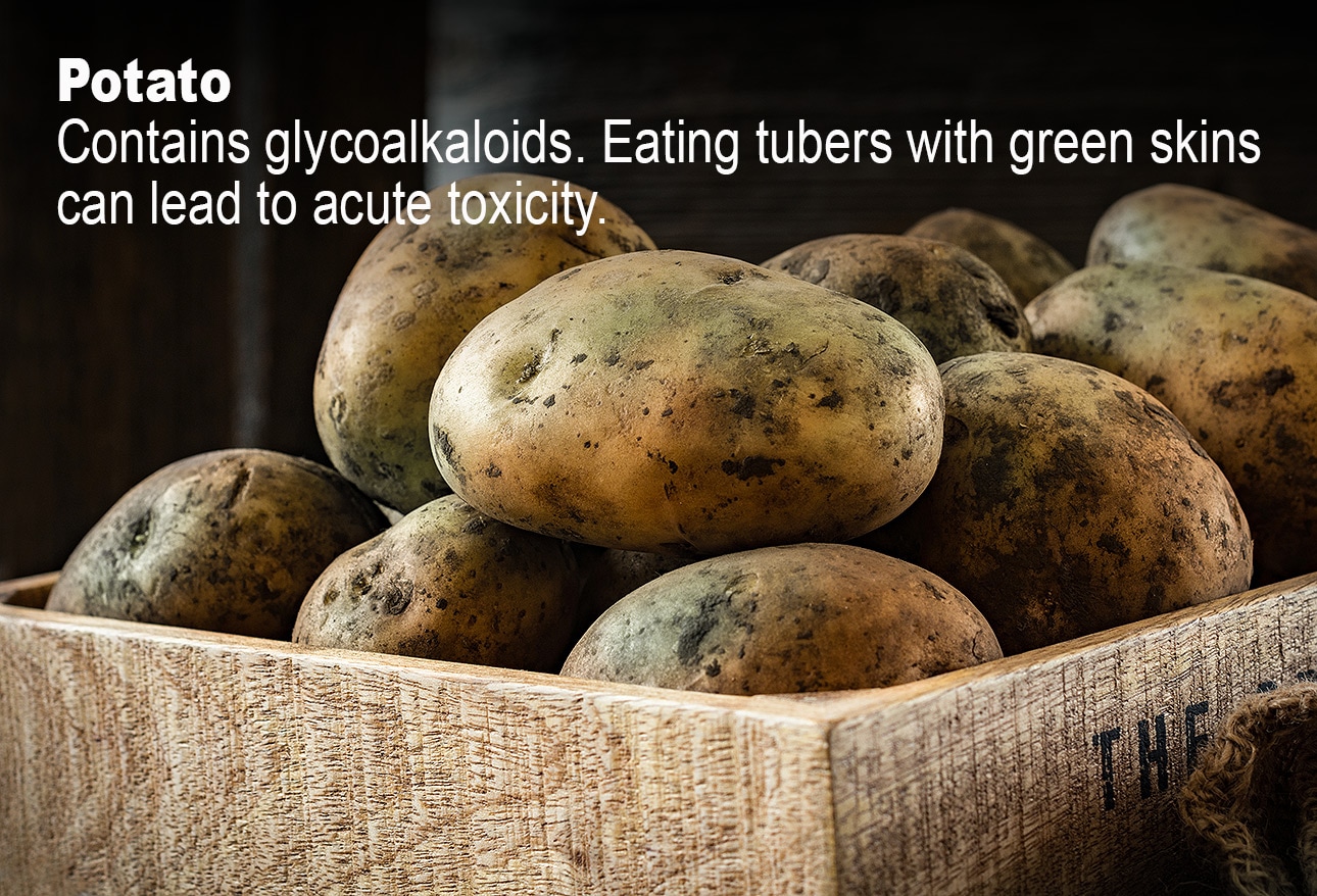 Naturally Dangerous: 11 Foods to Fear