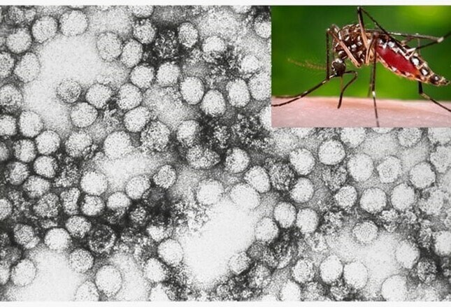 10 Travel Diseases You Need to Know