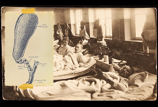 Vivisection: Human Guinea Pigs in Early Medical Research