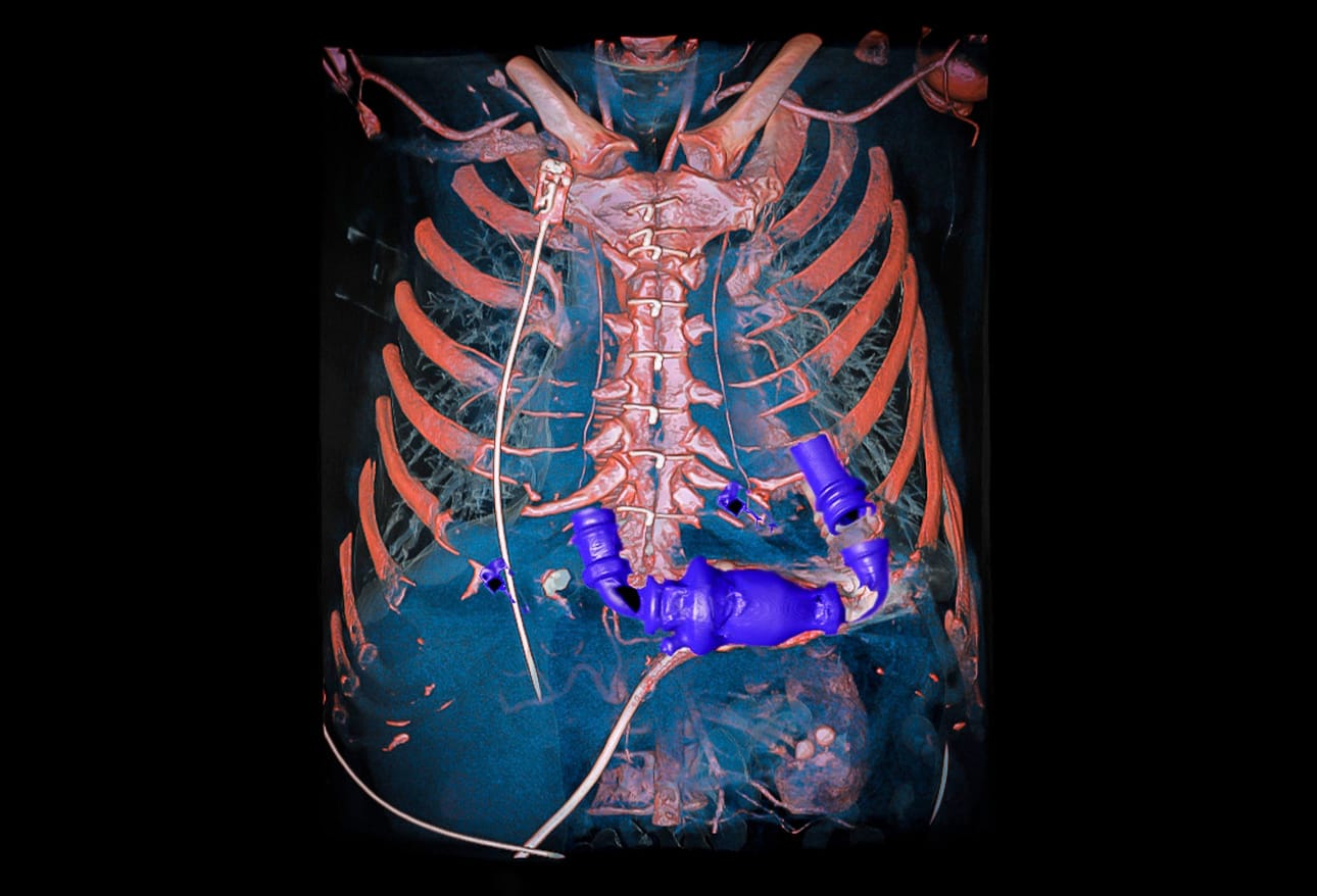 Medicine as Art: The Best in Medical and Science Imagery