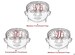 Forehead Anatomy: Surface Anatomy, Bones of the Forehead, Forehead and ...