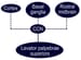 Apraxia of Lid Opening: Background, Pathophysiology, Etiology