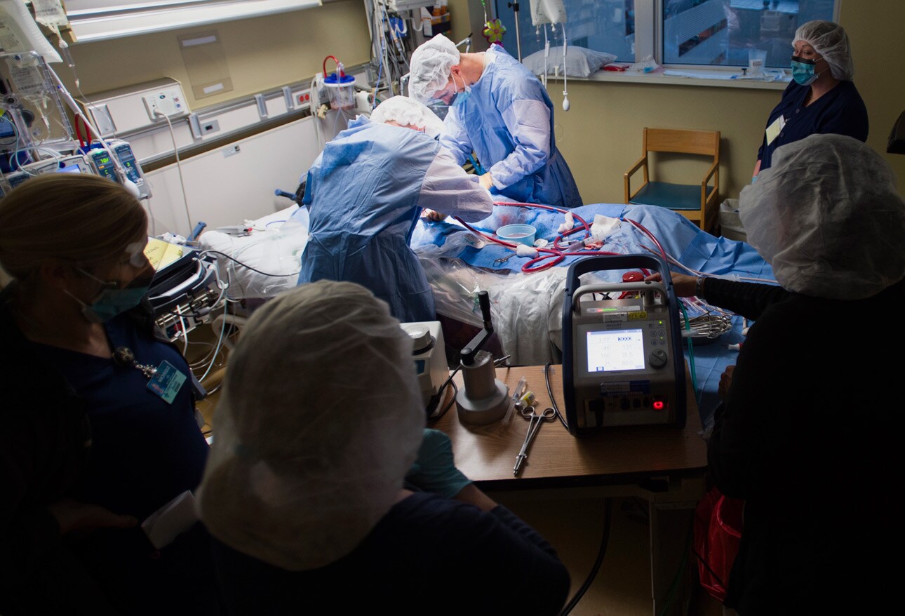 Guia para o tratamento da intermação