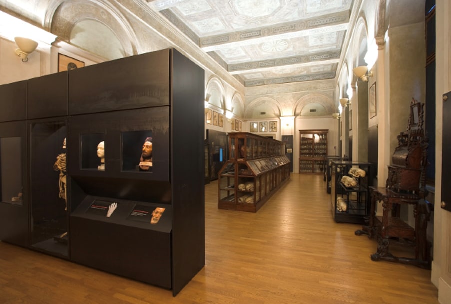 Odisseia médica: explorando museus de medicina pelo mundo