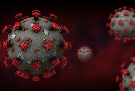 O que você precisa saber sobre a covid-19 em 2024