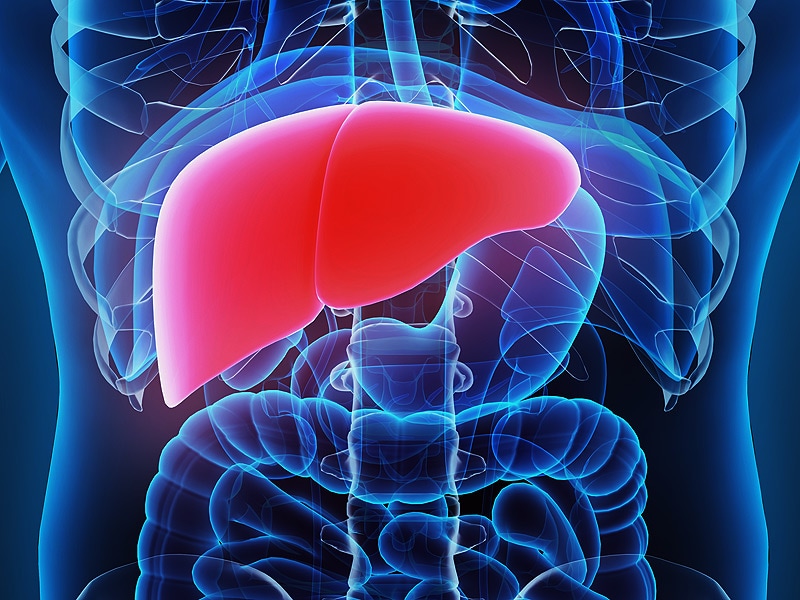 Incidência de câncer hepático aumenta em quase todo o mundo