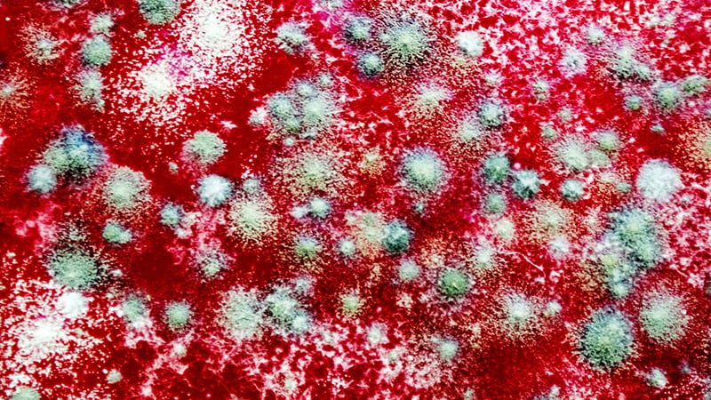 IV Infecto Rio: especialistas apontam necessidades prementes no combate ...