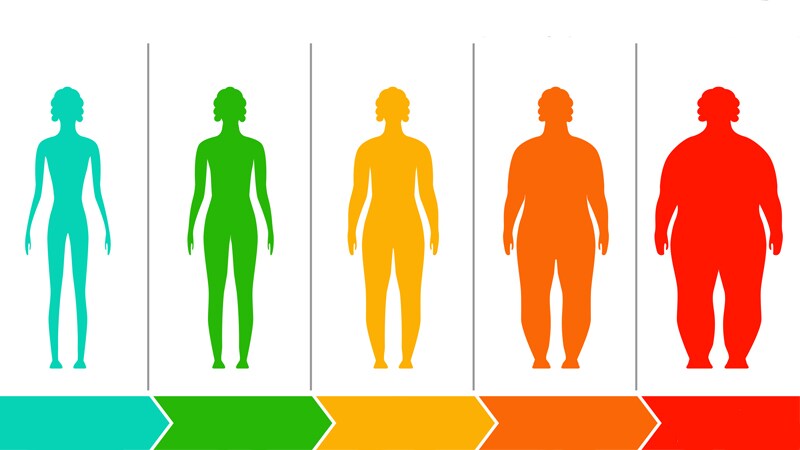 IMC é o melhor parâmetro para diagnosticar a obesidade?