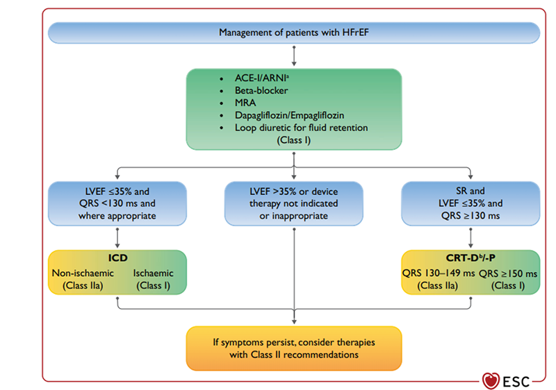 Sobre a Diretriz de Insuficiência Cardíaca da ESC 2021