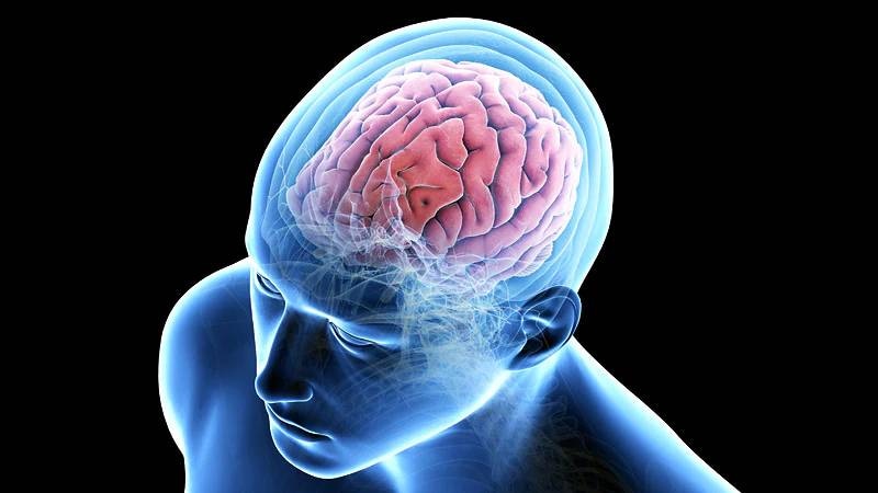 Diferenças estruturais do cérebro psicopático