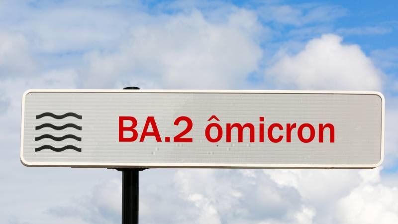 O que sabemos sobre o avanço da BA.2 no Brasil