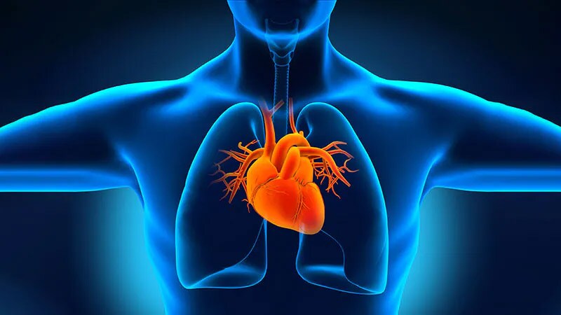 Teste rápido: otimização do tratamento da ICFEr