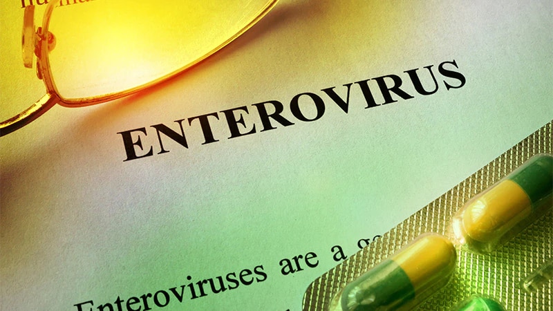 Pesquisa identifica forte associação entre enterovírus e DM1