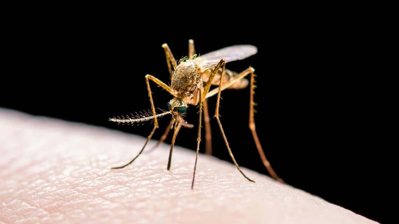 Revendo os Dados: Febre amarela - Page 4