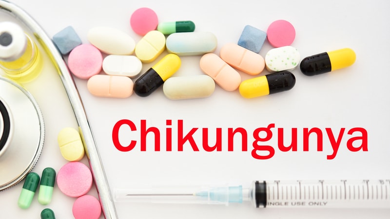 Chikungunya: um panorama da doença