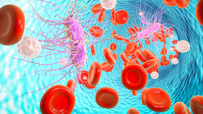 Repensando o papel da hidrocortisona/fludrocortisona no choque séptico
