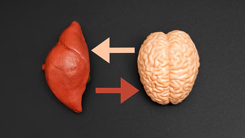 Disfunção cerebral tratável é confundida com demência em quase 13% dos ...