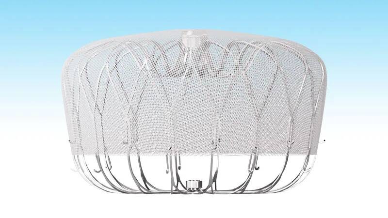 Segurança do WATCHMAN FLX™ 'no mundo real' é endossada por estudo