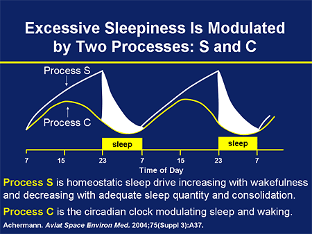 Sustaining Wakefulness in Excessive Sleepiness: Consequence Prevention