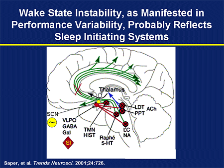 Sustaining Wakefulness in Excessive Sleepiness: Consequence Prevention