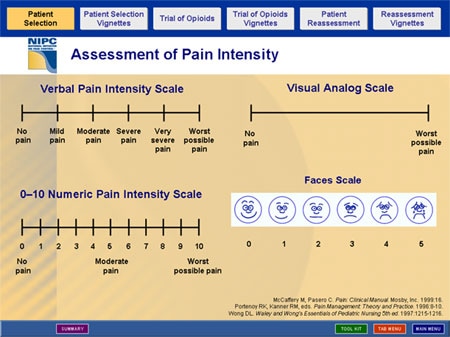 Advances in Opioid Analgesia: Maximizing Benefit While Minimizing Risk