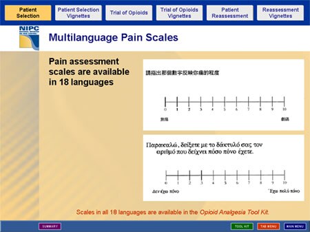 Advances in Opioid Analgesia: Maximizing Benefit While Minimizing Risk