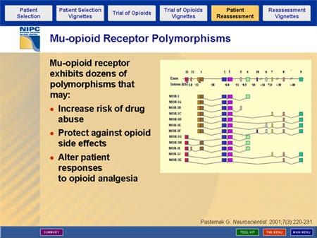 Advances in Opioid Analgesia: Maximizing Benefit While Minimizing Risk