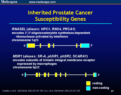 Optimal Strategies for the Multidisciplinary Management of Prostate ...