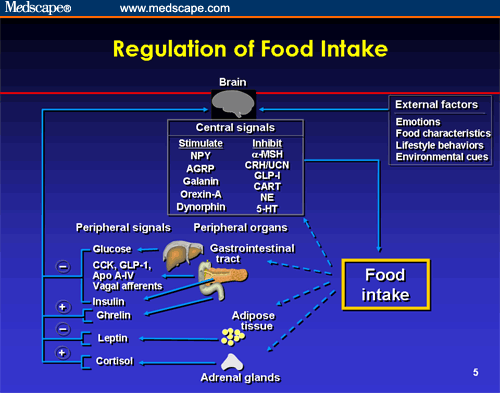 Long-term Dietary Interventions: Effects on Weight Loss and Health ...