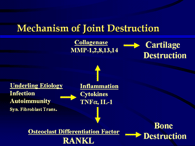 New Standards of Care for Rheumatoid Arthritis