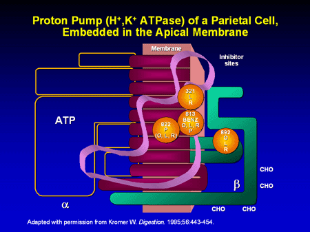 Progress Toward Disease Resolution: Have We Improved the Treatment of...