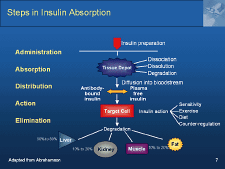 Mission Control: New Approaches to Glycemic Management in Diabetes