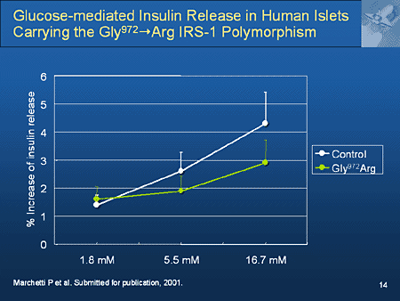 Mission Control: New Approaches to Glycemic Management in Diabetes