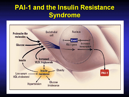 Advances in the Management of Dyslipidemia in the Patient With Diabetes