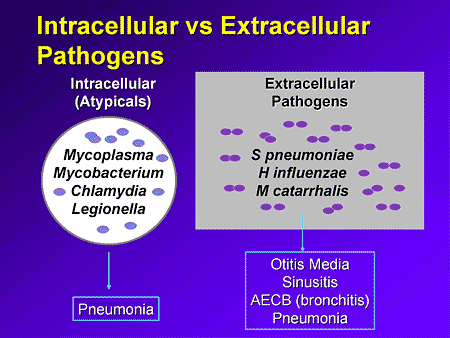 Treating Resistant Respiratory Infections in the Primary Care Setting:...