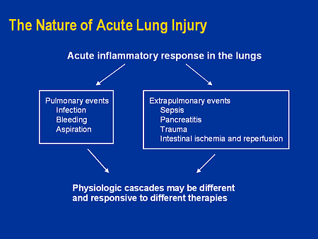 Optimizing Patient Management in the ICU: Focus on Anemia, ARDS, and...