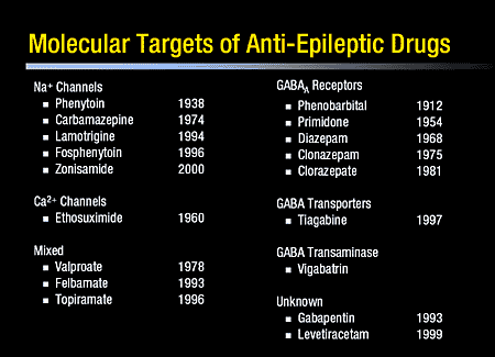 Innovative Epilepsy Therapies for the 21st Century - Part 1