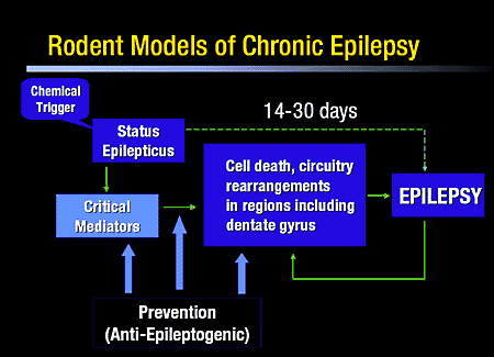 Innovative Epilepsy Therapies for the 21st Century - Part 1