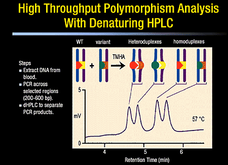 Innovative Epilepsy Therapies for the 21st Century - Part 1